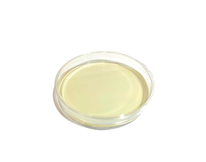 Media Kultur – Forsta Kalmedic Global