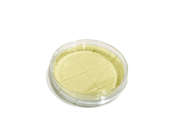 Media Kultur – Forsta Kalmedic Global