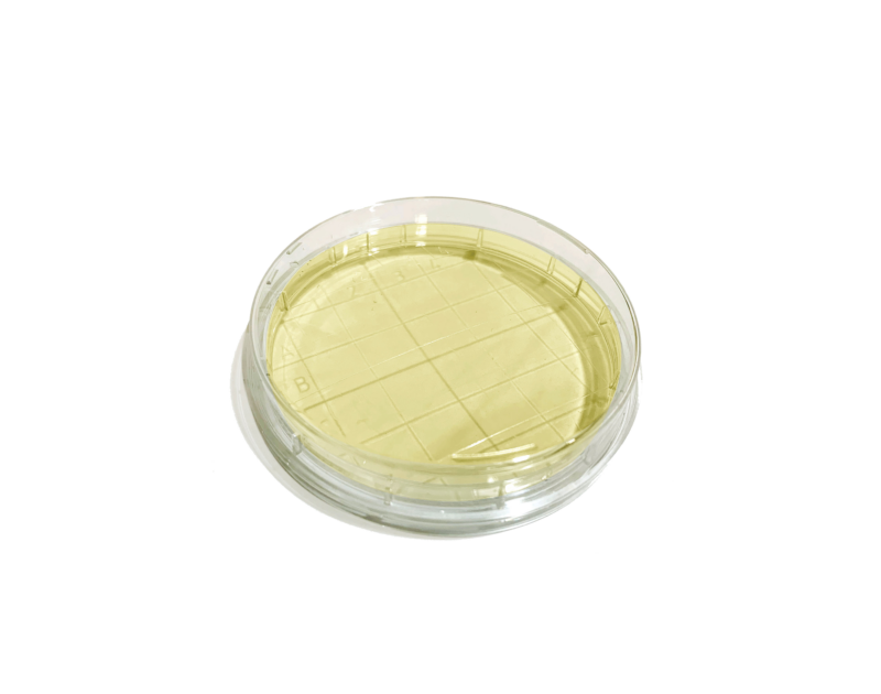 Media Kultur – Forsta Kalmedic Global